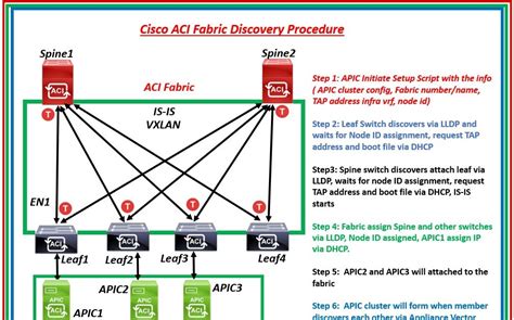 cisco aci fabric apic discovery the network dna
