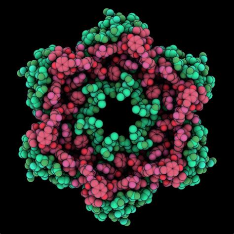 Chymotrypsin Inhibitor 2 Molecule Photograph By Laguna Design Science