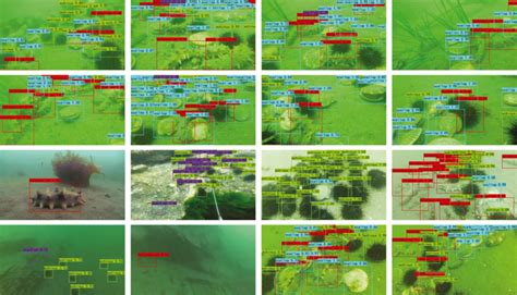 More Detection Results Of Our Algorithm Download Scientific Diagram