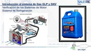 Diagnostico Mantenimiento Y Regulación Del Sistema De Gas 3ra Y 5ta