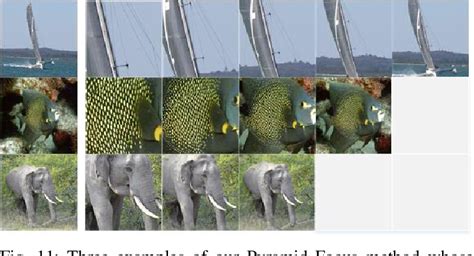 Figure 11 From Deep Learning Based Visual Attention Models For Salient