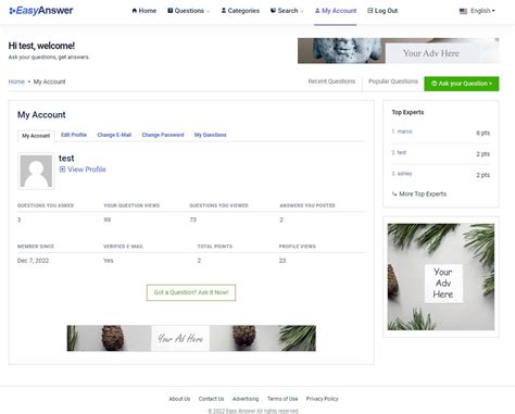 Easyanswer A Easy Ask And Answer Php Script By Promofile Codester