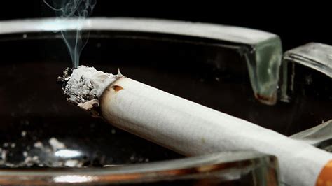 Bukti Rokok Membahayakan Kesehatan Seksual Anda Health Liputan6 Com