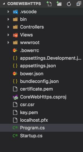 Pete Skelly Testing SSL In ASP NET Core On A Mac
