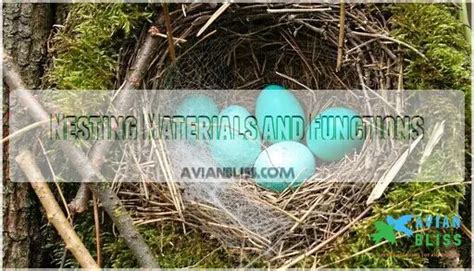 Bird Behavior Nest Building Secrets Behind Nests And Birdhouses