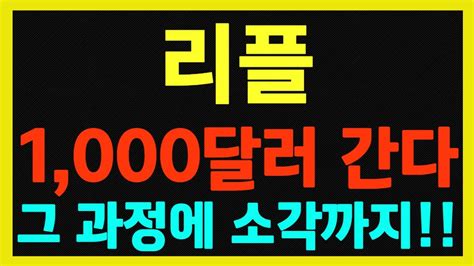 리플 소송 결과 임박 그리고 리플의 핵심 펀더멘탈로 1000달러 간다 Youtube