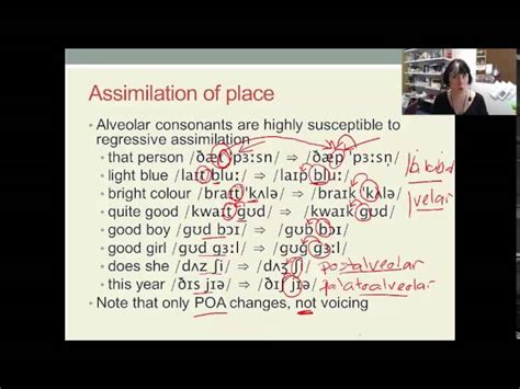 Assimilation Examples