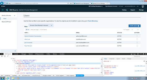 Pagination Component Not Displayed Correctly In Ie11 · Issue 210