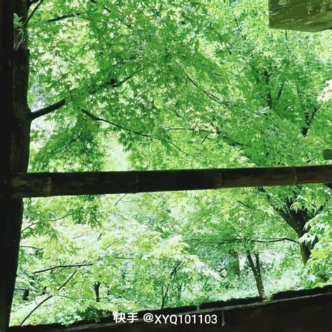 𝘀𝗮𝘃𝗲 𝗳𝗼𝗹𝗹𝗼𝘄 𝗺𝗲 Chibi Garden Layout