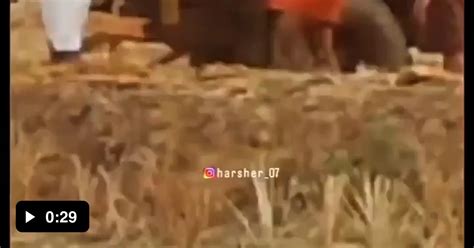 Asias Loudest Firework Show Before Gov Put Restrictions On Gun Powder Use 9gag