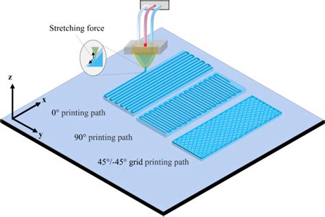 Schematic Diagram Of The Printing Path For Homogeneous Laminated Download Scientific Diagram