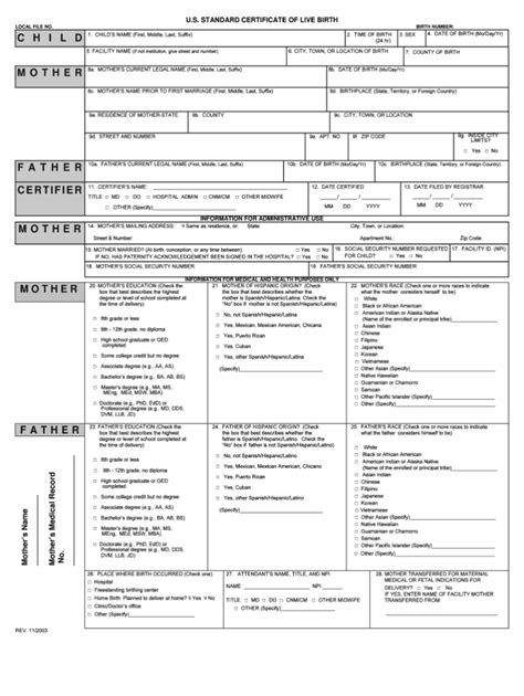 033 Large Free Birth Certificate Template Impressive Ideas Throughout