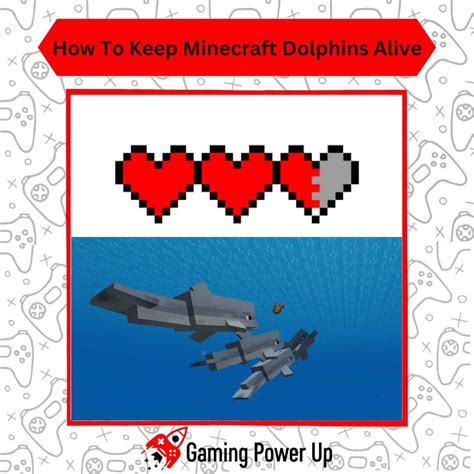 How To Keep Your Minecraft Dolphins Alive In 2024 New Tips