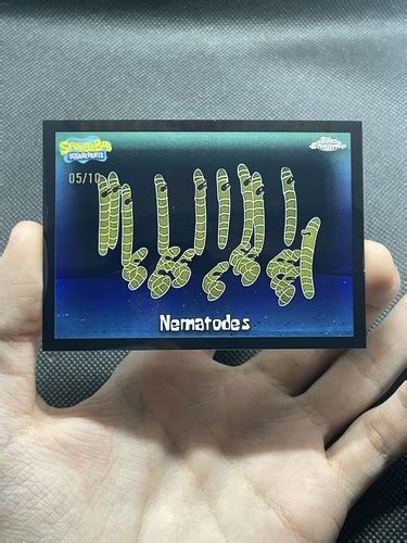 2025 Topps Chrome Spongebob Squarepants Nematodes Black 510 143 Ssp