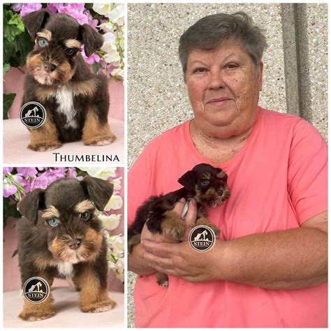 Stein Thumbelina Is Safe And Sound In The Arms Of Her Amazing Mother