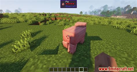 Wthit Mod 1 19 3 1 18 2 Better Understanding Of Minecraft Mc Mod Net