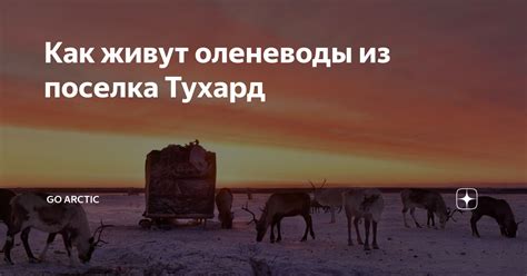 Как живут оленеводы из поселка Тухард Goarctic ПОРА в Арктику Дзен