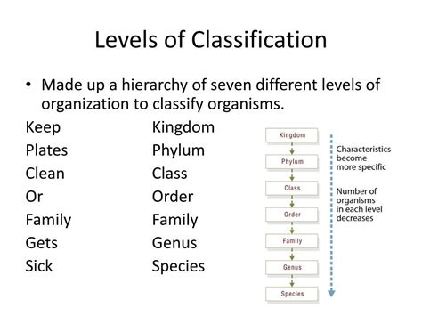 Levels Of Classification Explained At Donna Bradshaw Blog