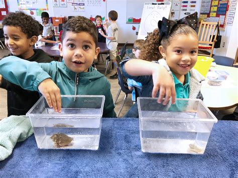 Adopt A Class Bailey Matthews National Shell Museum Adopt A Class Bailey Matthews National Shell Museum