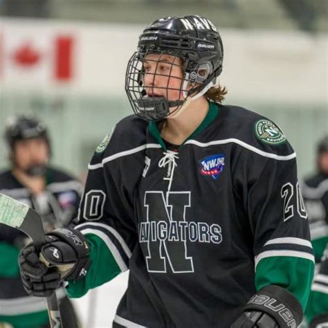 Seth Roy Stats Contract Salary And More