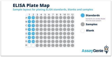 Elisa Plate Layout Elisa Assay Principles Protocols And Kits Assay