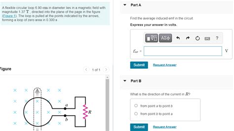 Solved A Flexible Circular Loop Cm In Diameter Lies In Chegg Com