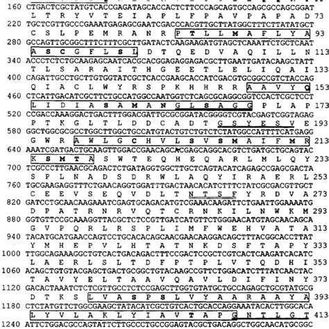 schematic reversed phase hplc method principle download scientific