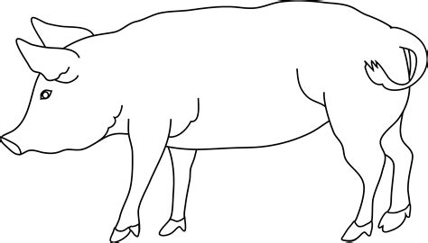Outline Of A Pig