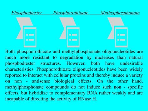 Antisense Technolgy Part 2 Continue Ppt Download