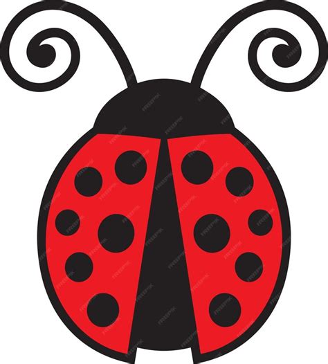 Premium Vector Ladybug Insect Premium Vector Ladybug Insect