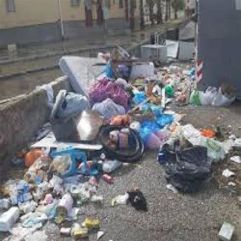 Garbagedetection Object Detection Dataset V18 2024 02 07 550pm By