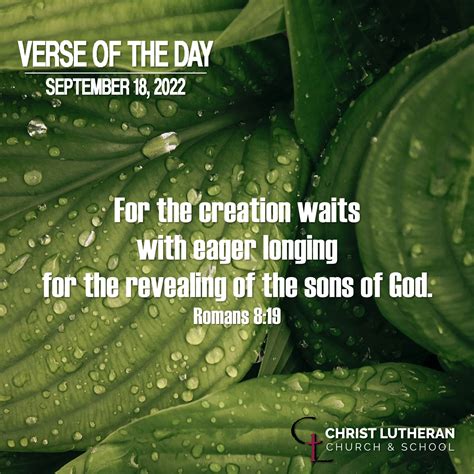 Check Out Our Verse Of Christ Lutheran Church Brea Ca