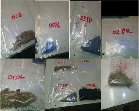 Samples Ready For Laboratory Analysis Download Scientific Diagram