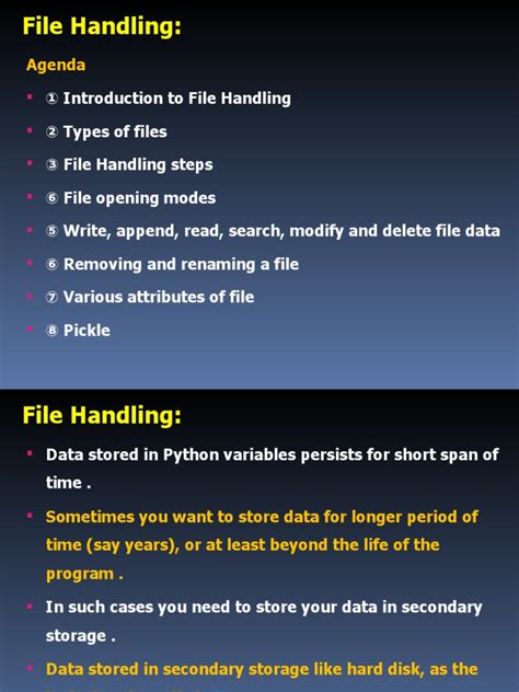 python 5 pdf computer file text file