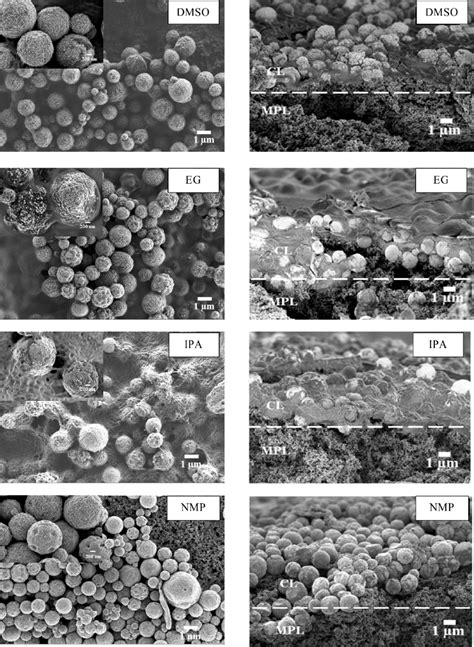 High Resolution Sem Images From A Top View Left And Cross Section