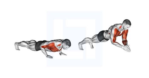 Clap Push Up - Guide, Benefits, and Form