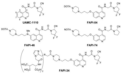Radioligands Targeting Fibroblast Activation Protein Fap Pmc
