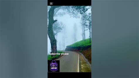 මීදුමෙන් වැසී ගිය සුන්දර ගම්මානය දන්න අය කියන්න මේ කොහෙද කියලා 👌👌 Youtube