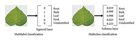 difference between multiclass and multilabel classifiers download