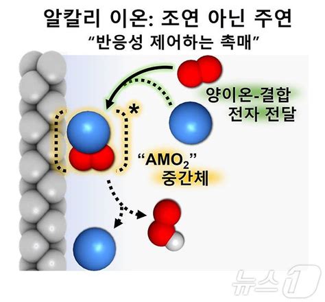 알칼리 금속 이온 전기화학 반응서 반응물과 결합 촉매 역할 규명