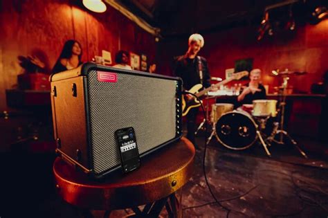 Portable Amp Pa Systems Spark Live
