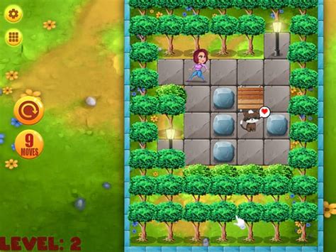 Push Puzzle Rescue Adventure