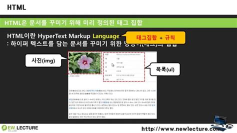 웹 표준 기반의 html5 웹 퍼블리싱 04강 언어로써의 html 의미 알아보기 youtube