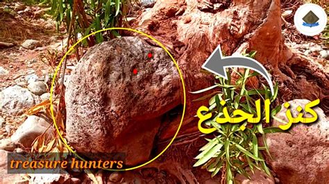 العثور على دفين داخل جذع شجرة معمرةشاهد الاشارات الدالة عليهtreasure