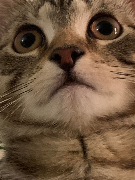 No Context R Namflashbacks