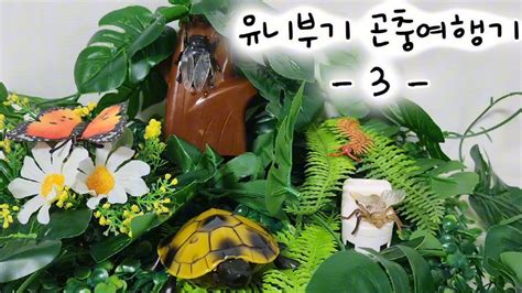 유니주니 유니부기 여행기🐢 3👉거북이나비 지네매미파리잠자리 장수풍뎅이 귀뚜라미 개미 거미 사슴벌레 전갈 사마귀 메뚜기 바퀴벌레 꿀벌 👈 어린이