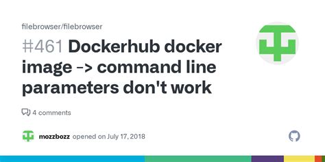 Dockerhub Docker Image Command Line Parameters Dont Work · Issue