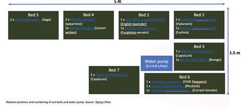Designing Dynamic Data Driven Digital Twin Systems In Ecology DDDAS4DT