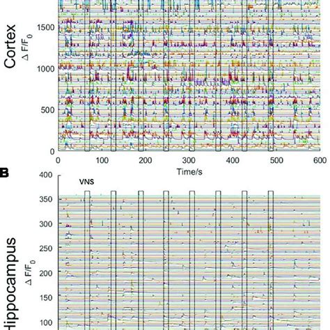 Characteristics Of Calcium Signaling Of Neurons In The Cerebral Cortex