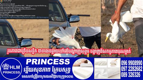 រូបភាពជាច្រើនសន្លឹក បានលេចធ្លាយនៅលើបណ្ដាញសង្គម បង្ហាញពីសកម្មភាពបុរសម្នាក់